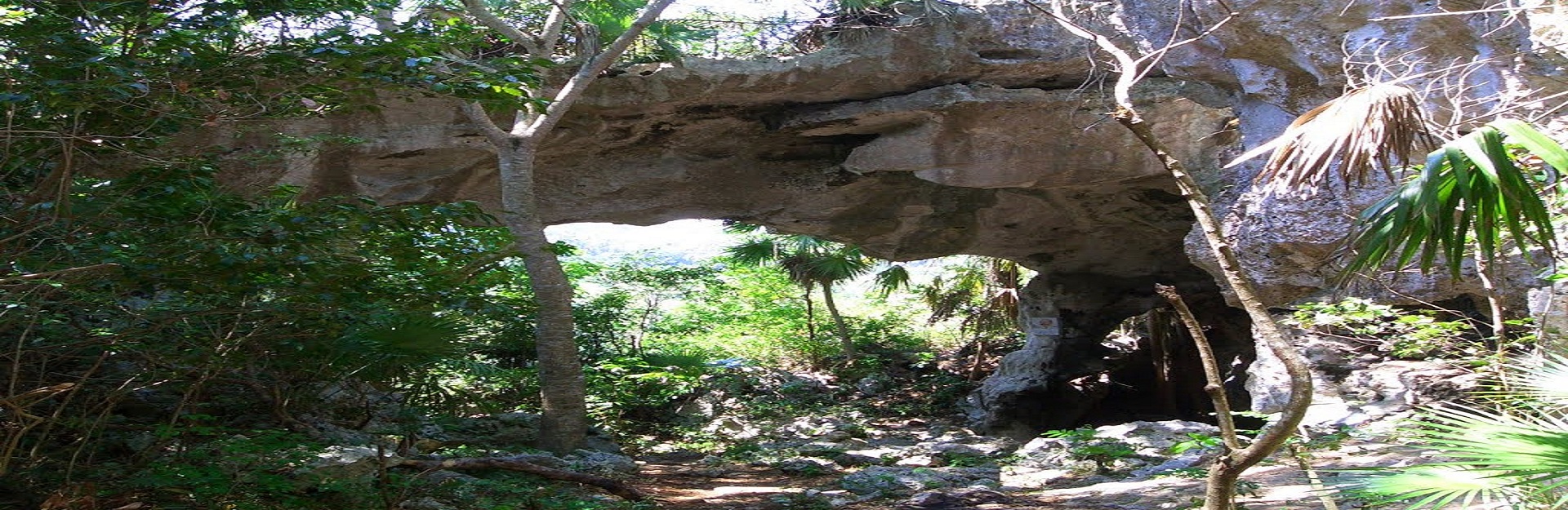 Jaruco Stairs, Hershey Gardens | Natur | Kuba